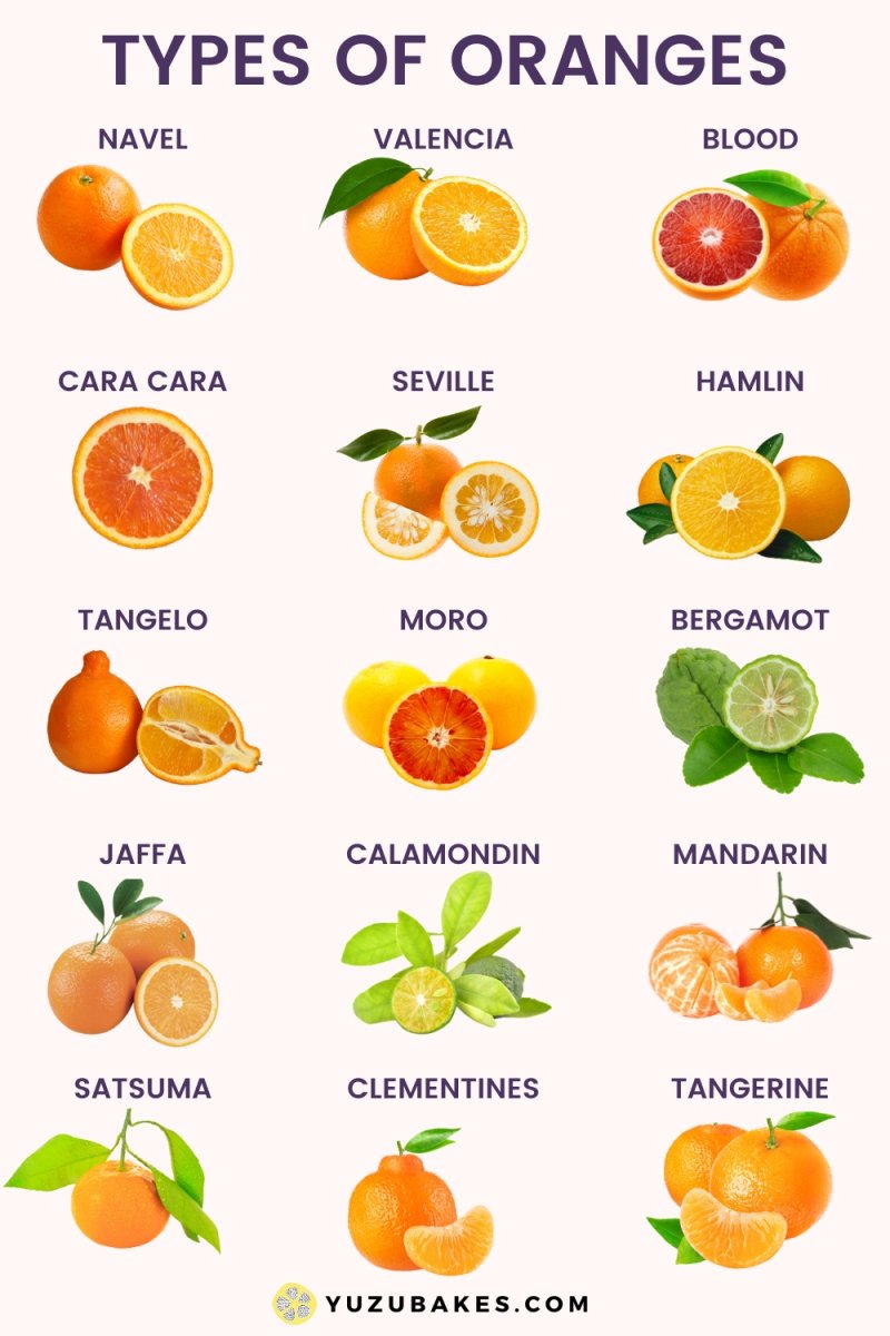 Orange Varieties 5 Orange Varieties You Must Try Today